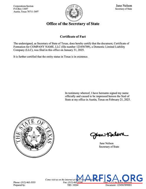 Blank USA Texas certificate of fact Word and PDF template - Marfisa