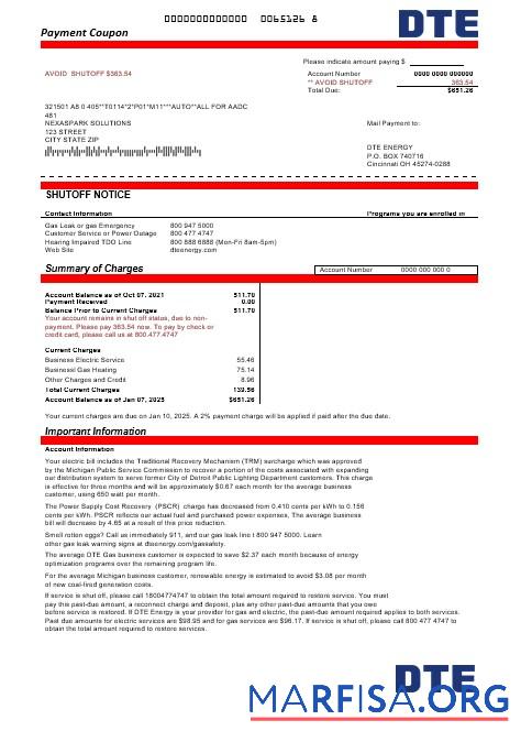 Realistic USA Michigan DTE Energy business utility bill template in ...