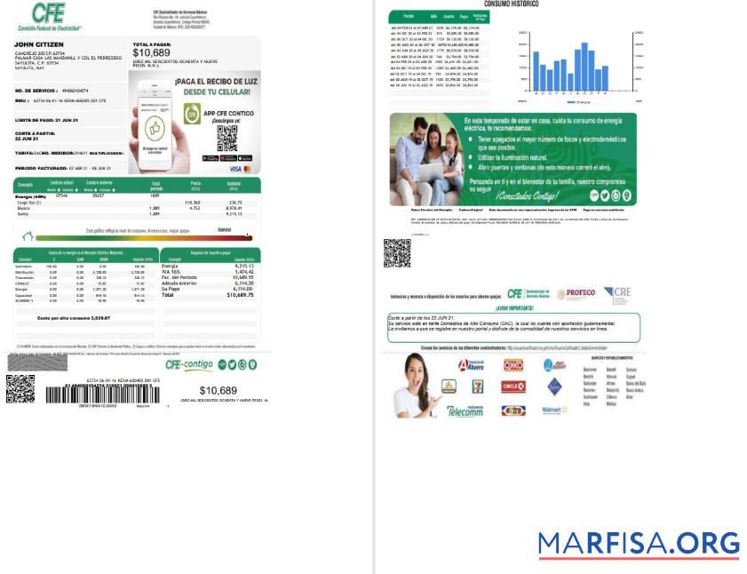 Downloadable Mexico Federal Electricity Commission (CFE) utility bill ...